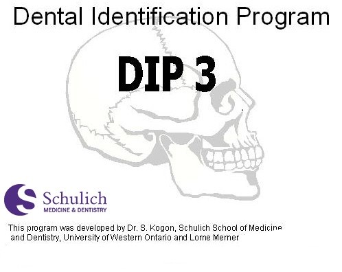 Please Enter Your DIP 3 User ID - Password.